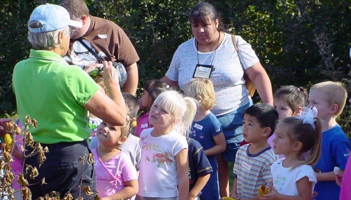 Martin's Hillside Orchard - Explore the Orchard