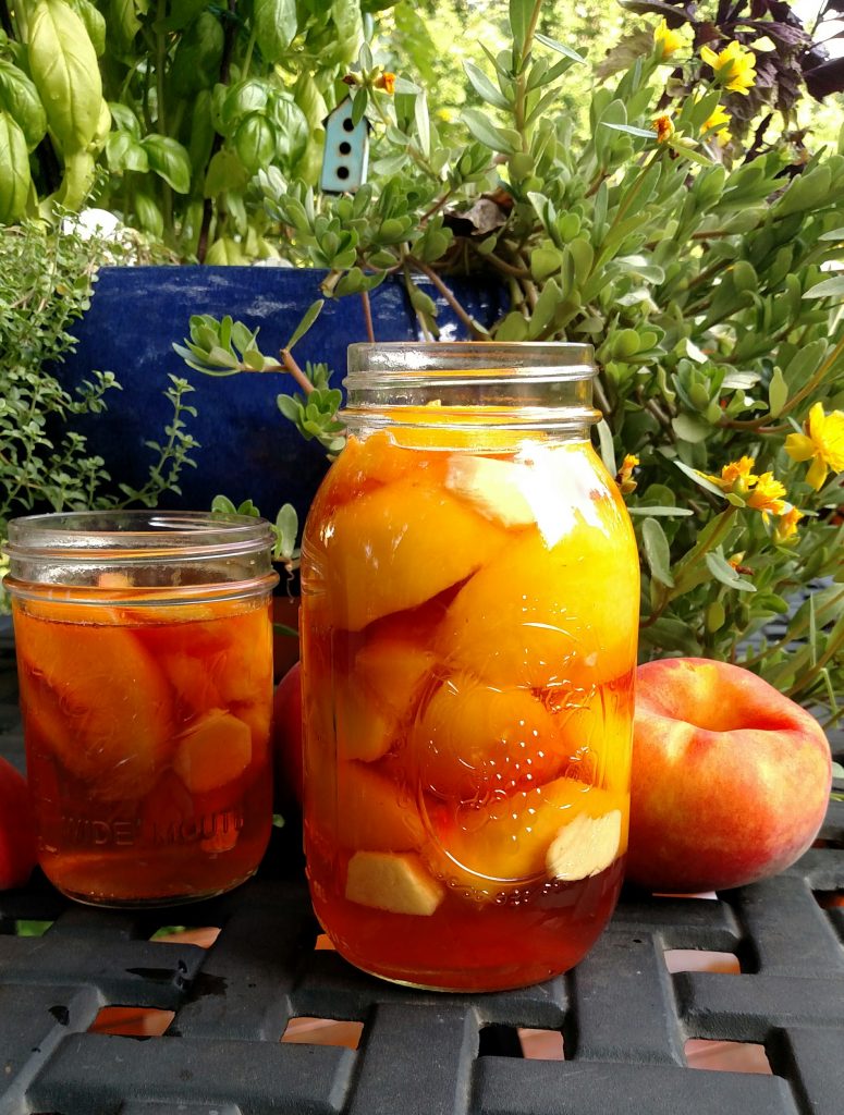 Ginger Pickled Peaches - Martin's Hillside Orchard